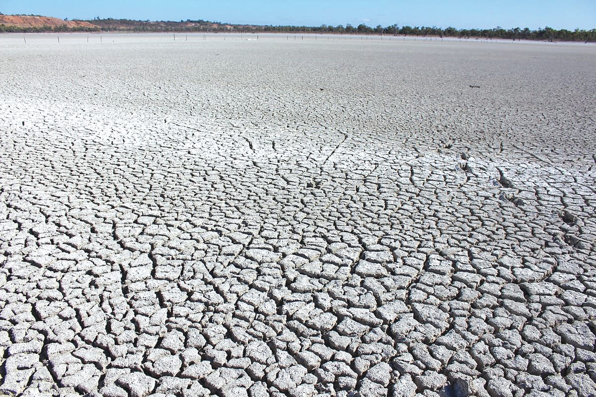 Drying phase set to begin for local lagoons