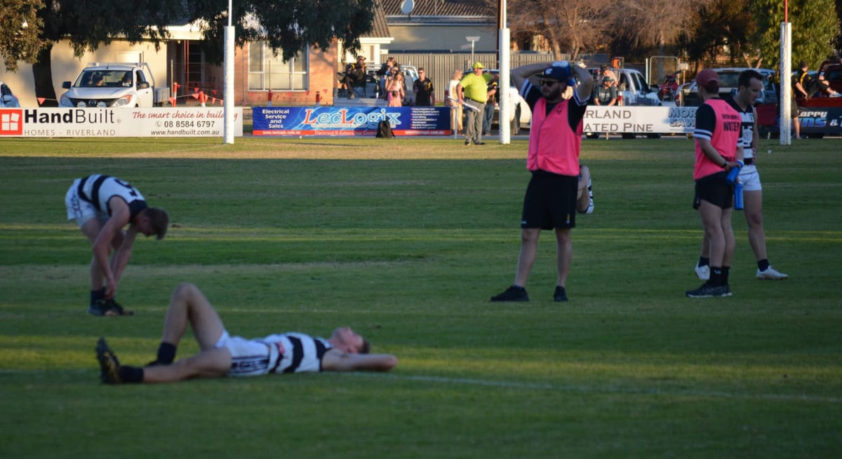 Tigers claw back victory at the death