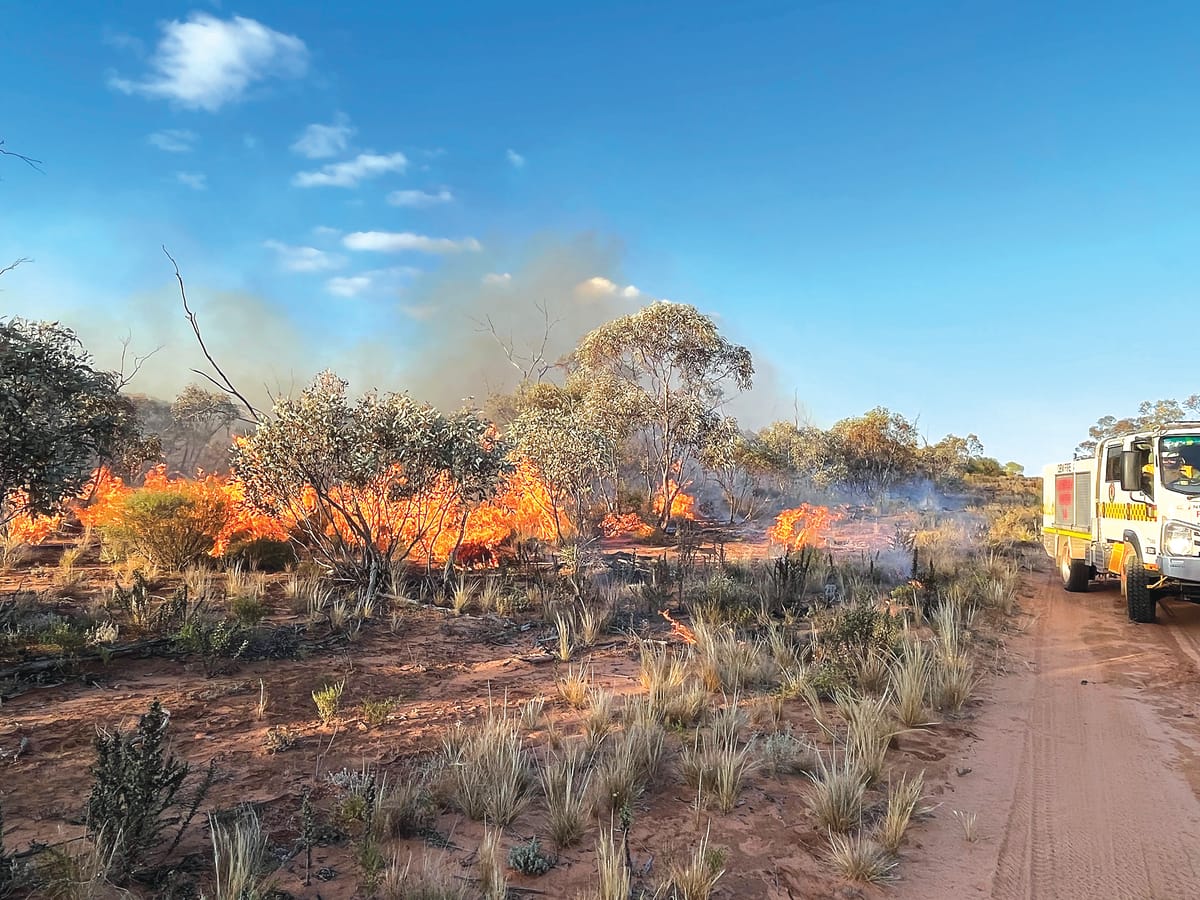 Report shows increased bushfire risk for Riverland this summer